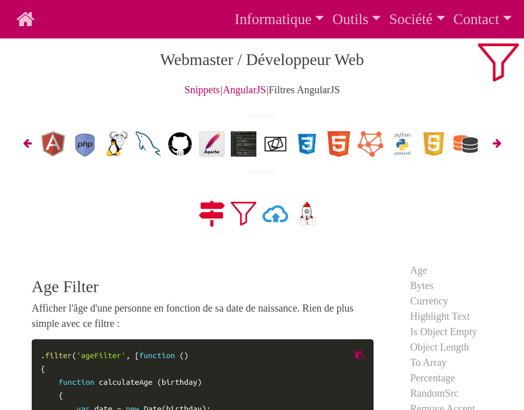Webmaster / Développeur Web / Filtres AngularJS